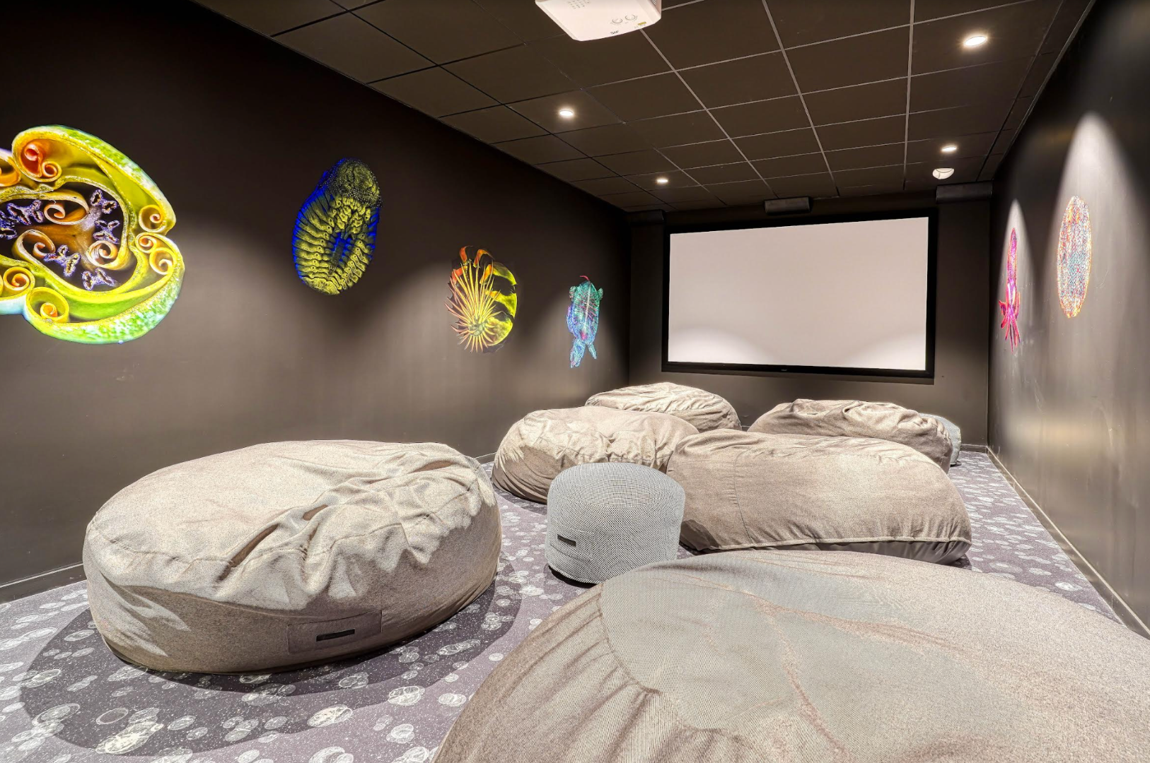 Ecla Paris Massy-Palaiseau extension Palaiseau | Studapart