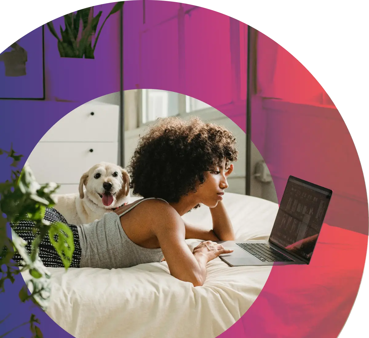 Your student accommodation in more than 40 cities| Studapart